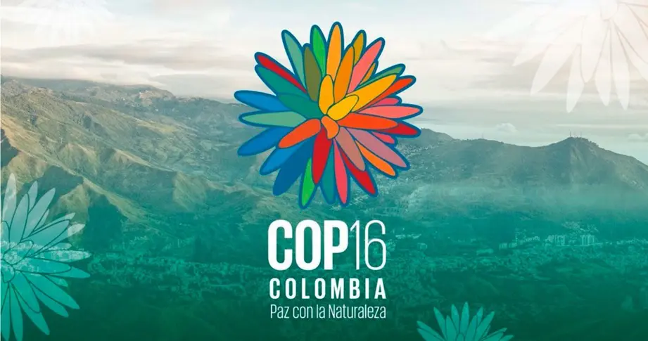 Una mirada a la COP16: conferencia mundial sobre biodiversidad ...
