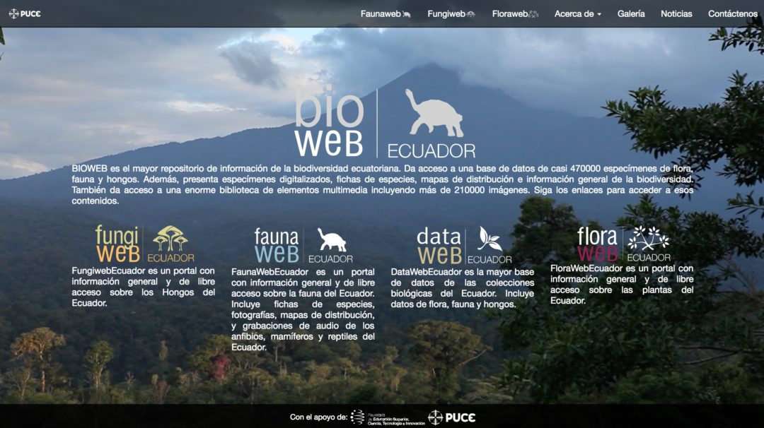 BIOWEB Ecuador: enciclopedia virtual de la diversidad biológica del ...